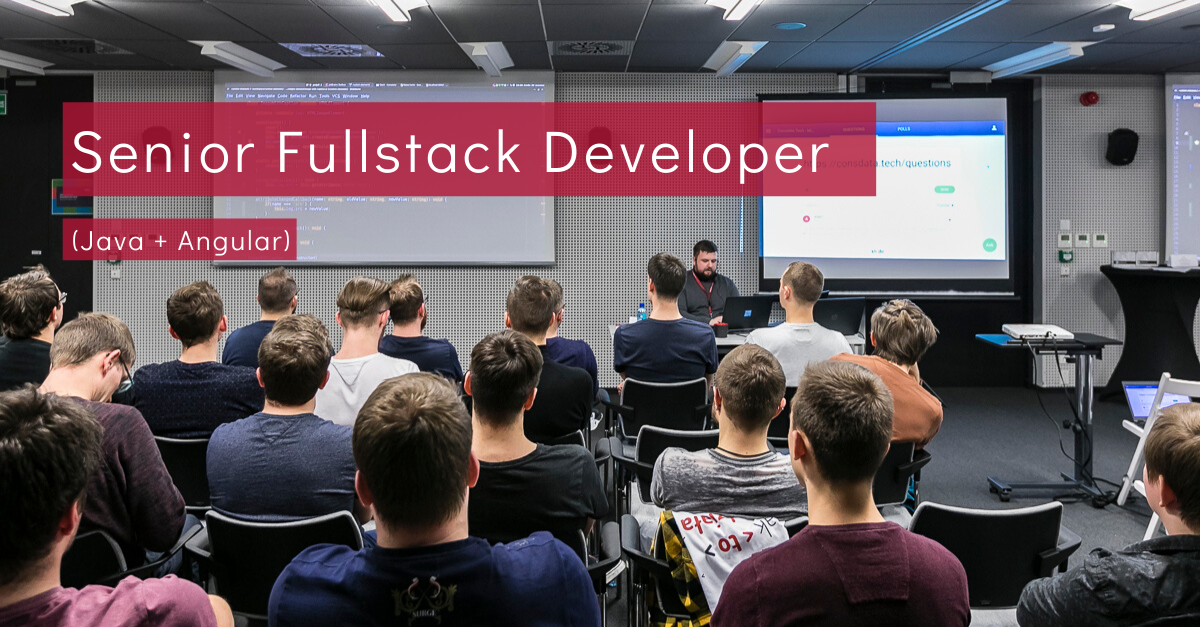 Senior Fullstack Developer (Java + Angular)